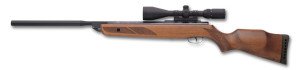 The REAL Scoop on the Gamo Hunter Extreme SE